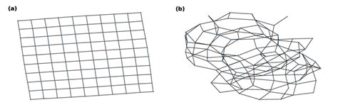 Illustration Of The Lattice Small World Transition Model For A P
