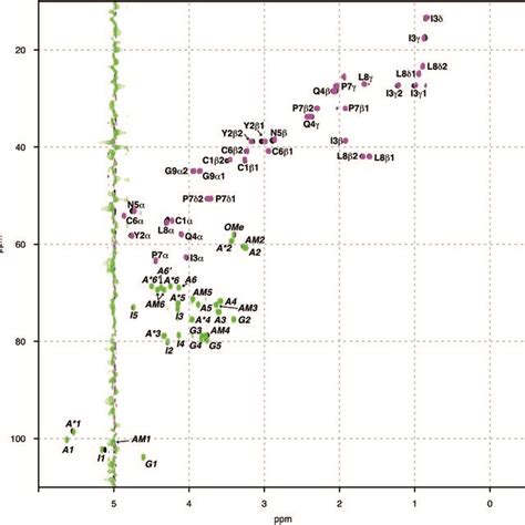 ¹h¹³c Hsqc Nmr Spectra Overlay Of Oxt Fp 17 1 Black Oxt Only