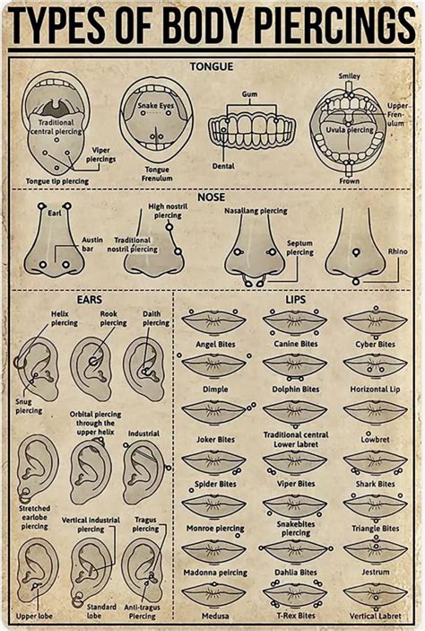 Ornamental Dress Piercing Chart 2 Face Piercings Pier Vrogue Co