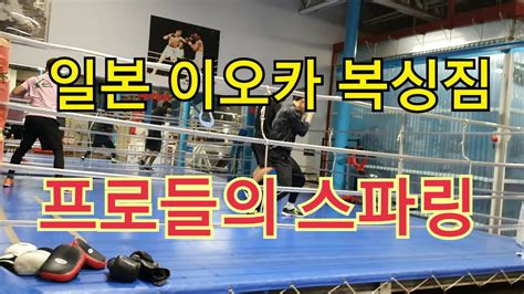 이오카복싱짐 프로초년병들의 스파링 일본복싱 프로복싱 권투 챔피언 Youtube