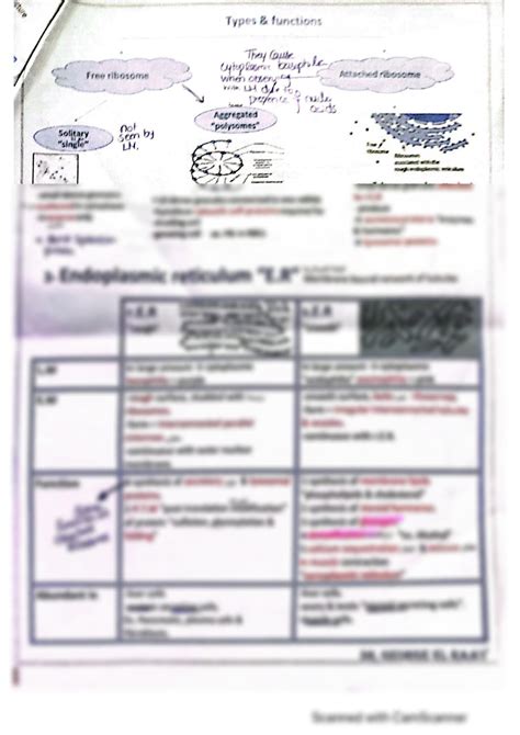 Solution The Cell Types And Functions Studypool