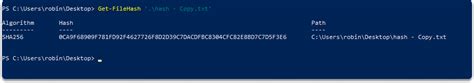 Hands On With Hash Functions MCSI Library