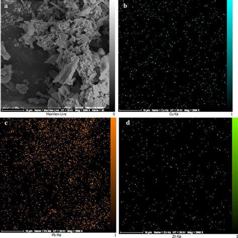Fe Sem Micrograph Showing A Surface Morphology And Eds Elemental Download Scientific Diagram