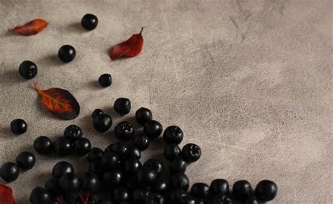 Premium Photo Fresh Berry Chokeberry Top View Flat Layout On Grey Background