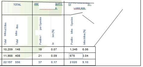 Net Crystal Report 2008 Export Does Not Export Table Correctly As