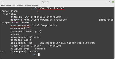 Как посмотреть какая видеокарта стоит на компьютере