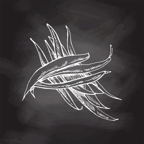 Premium Vector Hand Drawn String Beans Illustration In Sketch Style