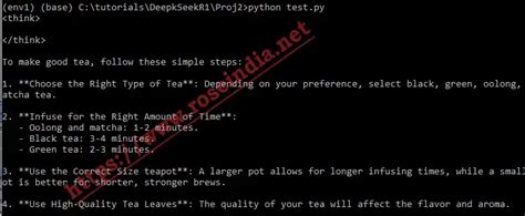 How To Run Deepseek R1 Locally In Python