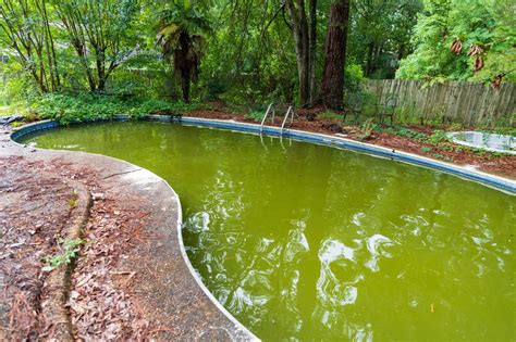 How To Get Rid Of Algae In Your Pool