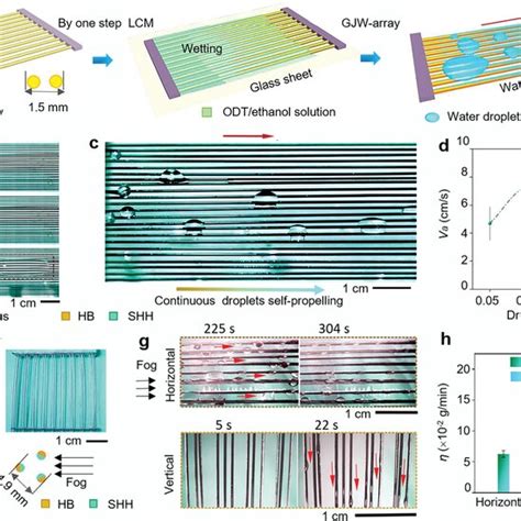 Droplet Self‐propelling And Harvesting On Large‐scale Gjws‐array A