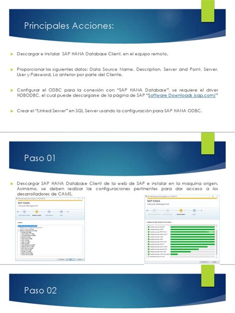 Conexión Sap Hana Pdf