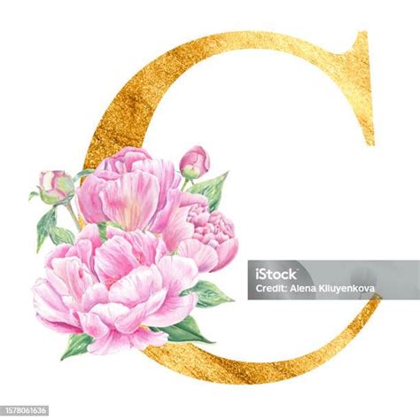 수채화 골드 영어 알파벳입니다 모란 장미 식물 꽃 가지 꽃다발 구성입니다 청첩장 베이비 샤워 생일 카드 모노그램 로고 디자인을 위한 예술 흰색 바탕에 문자 C 모노그램에