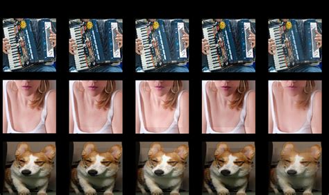 Original Images And Adversarial Examples After Adding Different Download Scientific Diagram