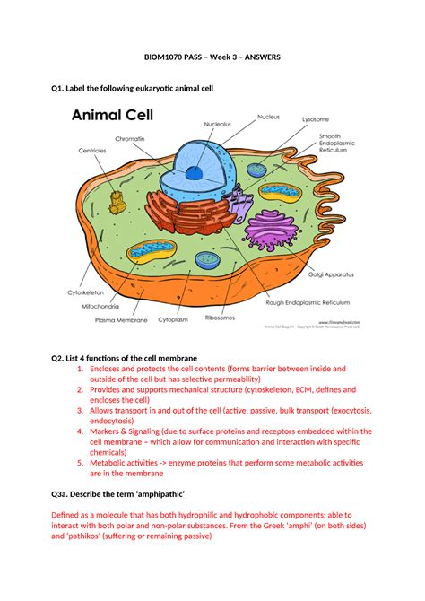 Biom1070 Pass Week 3 Prac Pass Answers Biom1070 Pass Week 3