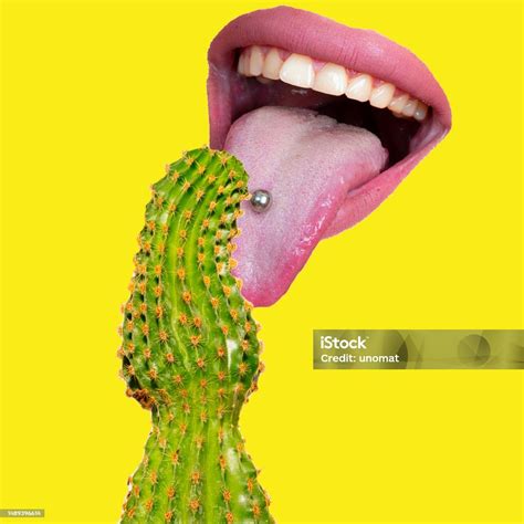 현대 미술 콜라주 초현실적 인 잡지 템플릿 배너 콜라주 괴물 인간의 막대기 혀 밖으로 터치 가시 선인장 0명에 대한 스톡 사진