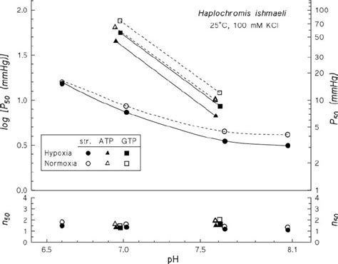 Oxygen Equilibrium Curves Of The Composite Hemoglobins Of Hr Black Download Scientific Diagram
