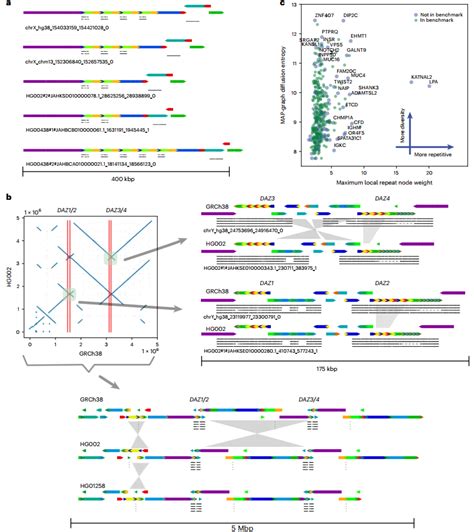 Nat Methods 新泛基因组研究工具包pgr Tk，可在多种尺度上分析重复 临床相关复杂基因变异 知乎