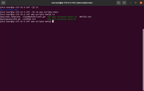 Amazon Cloudwatch Custom Metrics Vti Cloud
