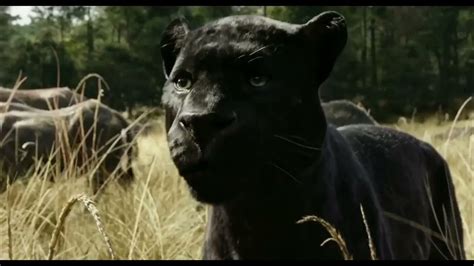 The Jungle Book Trailer ჯუნგლების წიგნი Youtube