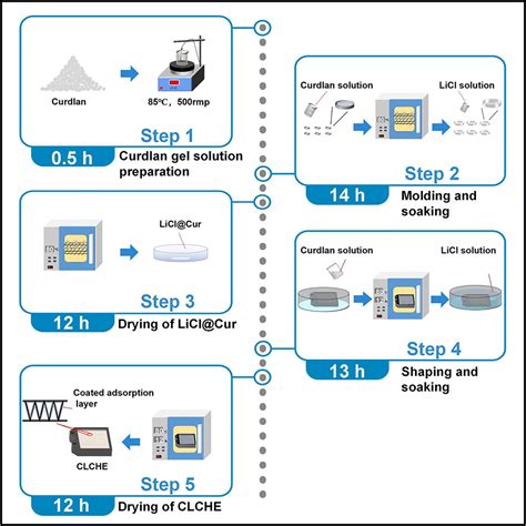 Cell Press Star Protocols