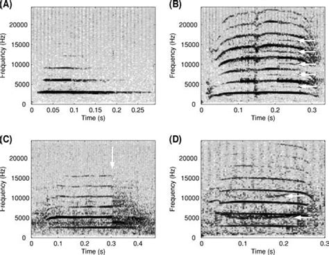 Spectrograms Of Representative Manatee Vocalizations A Vocalization
