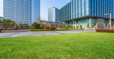 Landscaping Ideas To Boost The Curb Appeal Of Your Outdoor Space