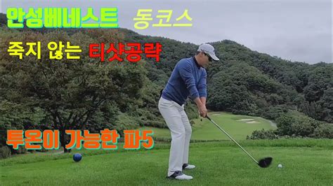 죽지않는 티샷공략 안성베네스트cc 동코스 티샷성공율 Youtube