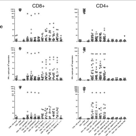 Ifnγ Elispot Assay For Purified Cd8 And Cd4 T Cells A Direct Download Scientific Diagram