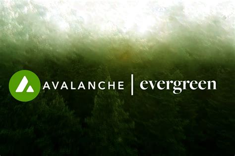 Ava Labs Lance Avalanche Evergreen Subnets Pour Les Institutions