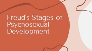 Understanding The Self Sexual Self 2 Pptx