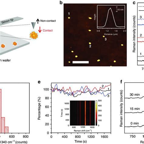 Afm Correlated Single Np Nano Raman Analysis Of The P Gerts A