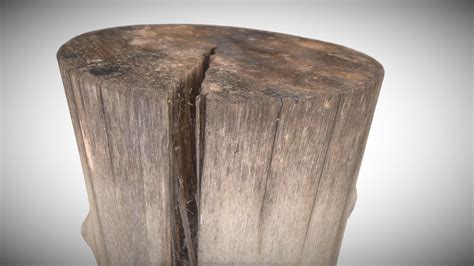 Wood3 From 3d Scanned Unreal Engine 5 Project Buy Royalty Free 3d