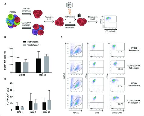 Comparative Lentiviral Transduction Of Nk Cells Using Retronectin And