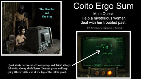 The 10 Best Fallout New Vegas Sex Mods Gamer Journalist