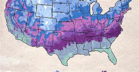 A Rough Approximation Your Experience May Vary Album On Imgur