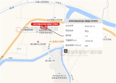 杭州市临安区湍口镇湍口村地块 直播 位置 相册 详情 浙江土地网 浙报传媒地产研究院