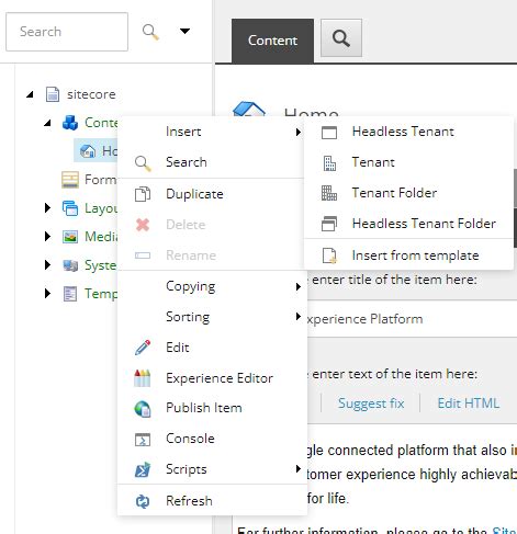 Setup Sitecore Headless SXA With Next Js Sandeep Pote