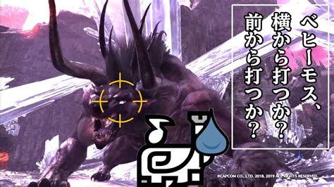 【mhwi】極ベヒーモス 狩猟笛 20分 Extreme Behemoth Youtube
