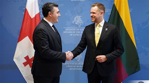 ნატო ს სამიტში მონაწილეობისთვის დარჩიაშვილი ვილნიუსში ჩავიდა Netgazeti • გაბრიელიუს