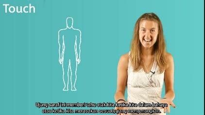 Error In Target Text Editing Download Scientific Diagram