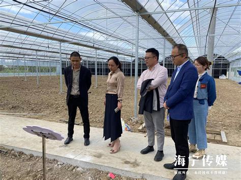 浙里青年助共富 海宁这个青创基地增收项目启动了