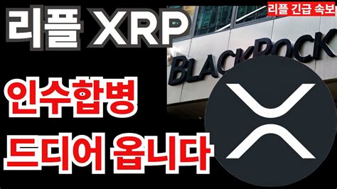 리플 인수합병 큰거 드디어 옵니다 여러분 Xrp Youtube