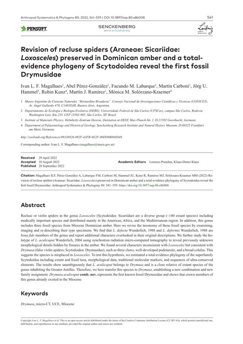Pdf Revision Of Recluse Spiders Araneae Sicariidae Loxosceles Preserved In Dominican Amber
