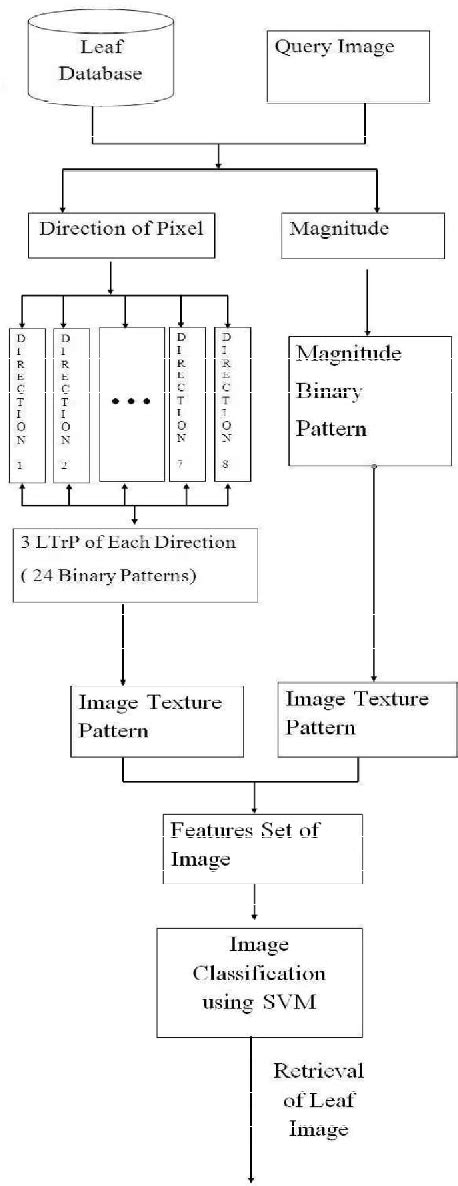 Figure 1 From Enhanced Image Texture Feature Extraction Method Using