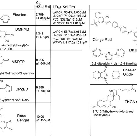Schematic Flow Chart Of Novel High Throughput Screen Hts For Amacr