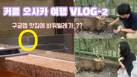 🇯🇵🎏 오사카 나라공원 커플 Vlog🦌🫎 2 Youtube