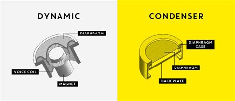What Is Dynamic Microphone Bibersa Production
