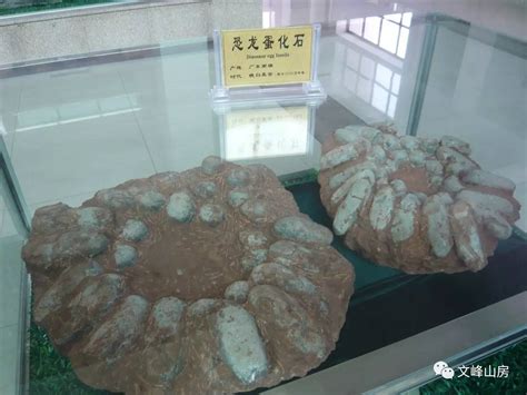 平邑县博物馆 自然博物馆 自然科学博物馆 大山谷图库
