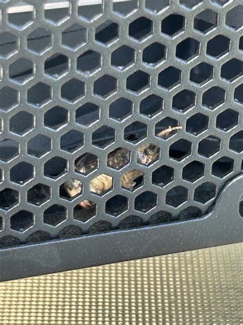 How Did A Bug Get In My Power Supply And Perhaps Just As Important How Do I Get It Out R