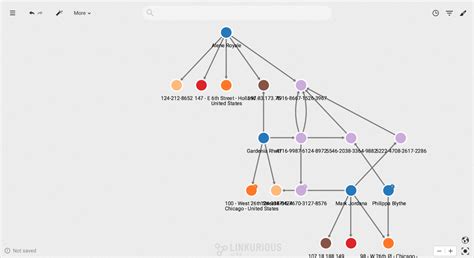 Manipulating The Graph Layouts Linkurious User Manual